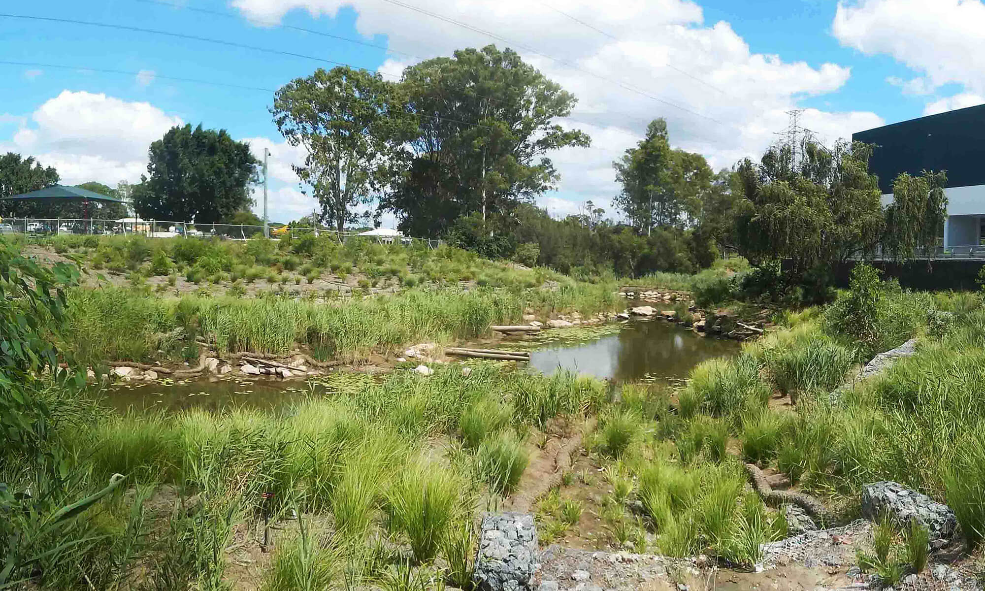Bundamba Creek Rehabilitation | CUSP