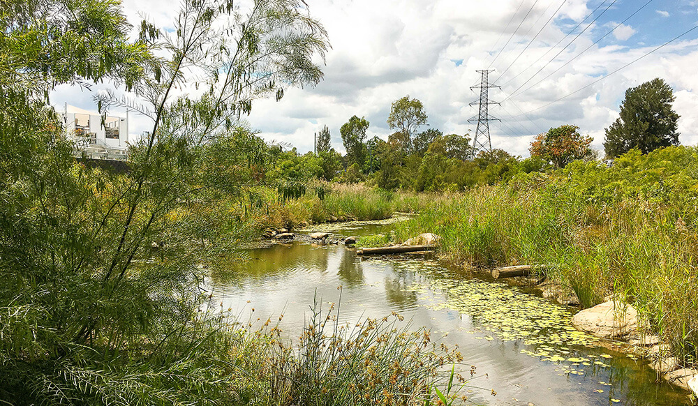Bundamba Creek Rehabilitation - CUSP